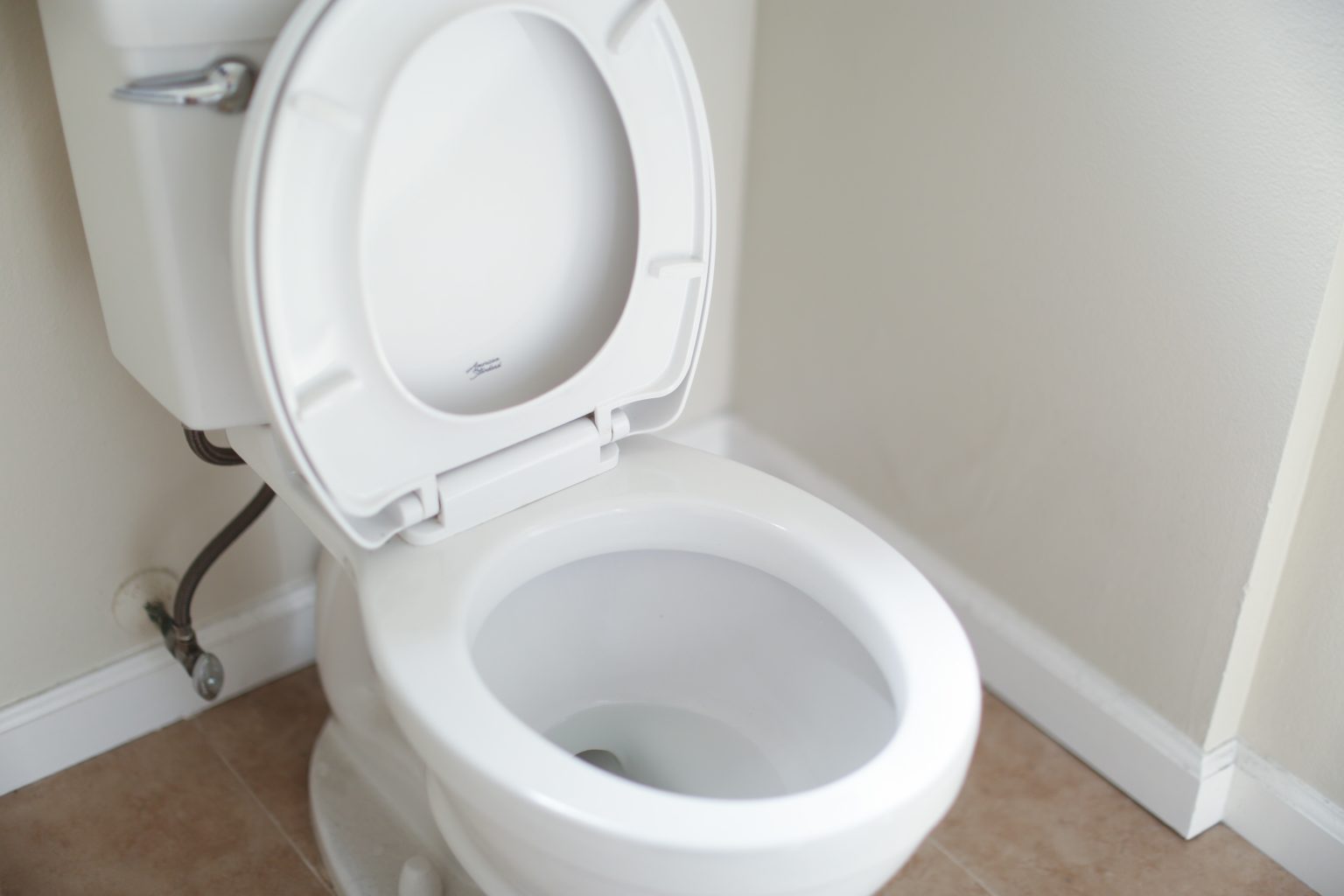 Toilets Around the World (From Asia to Europe to the Americas)