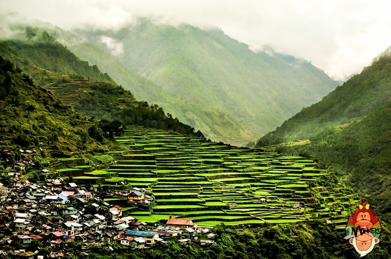 A View from the Top: Paragliding in Bontoc