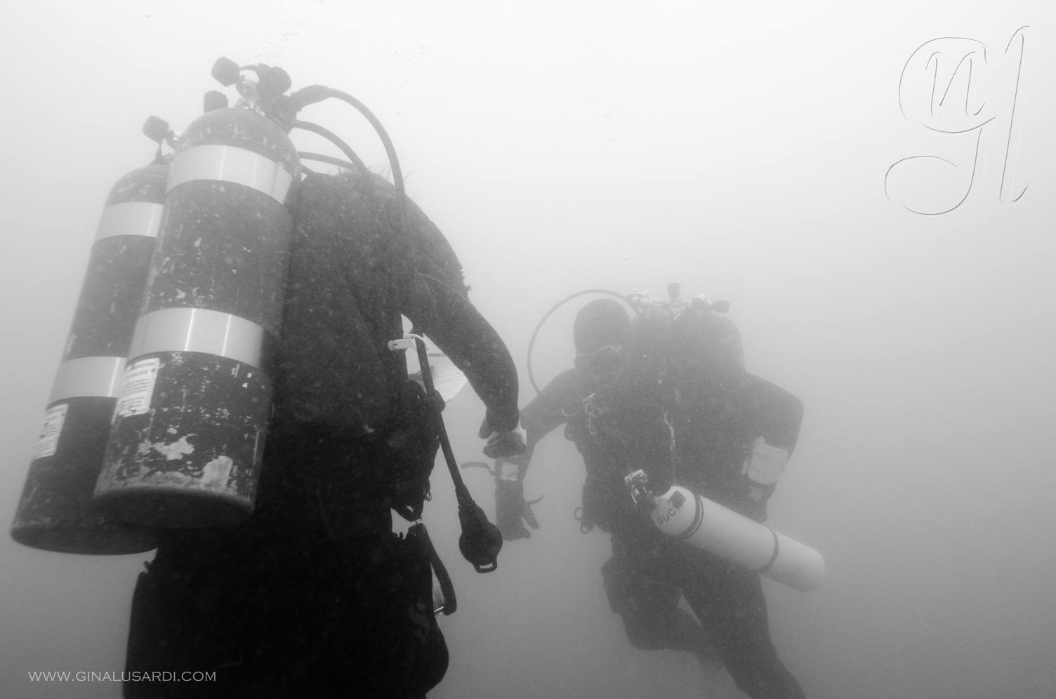 SCUBA Diving in Costa Rica - 8 Reasons to do it now!