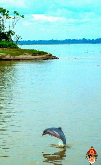 Adventure in Amazon Rainforest - Belem, Brazil to Leticia, Peru
