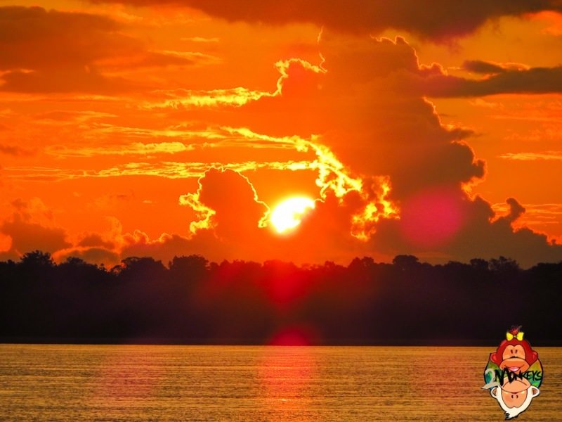 Adventure in Amazon Rainforest - Belem, Brazil to Leticia, Peru