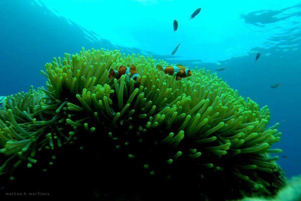 Amazing Places to Explore in Kiamba, Philippines - Two Monkeys Travel Group
