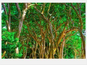 Ultimate Travel Guide to Calayan Island, Cagayan