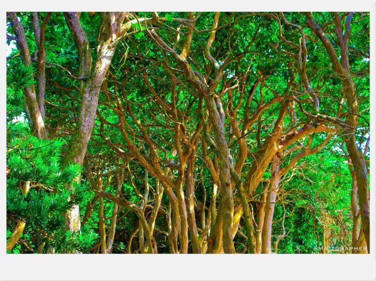 Ultimate Travel Guide to Calayan Island, Cagayan
