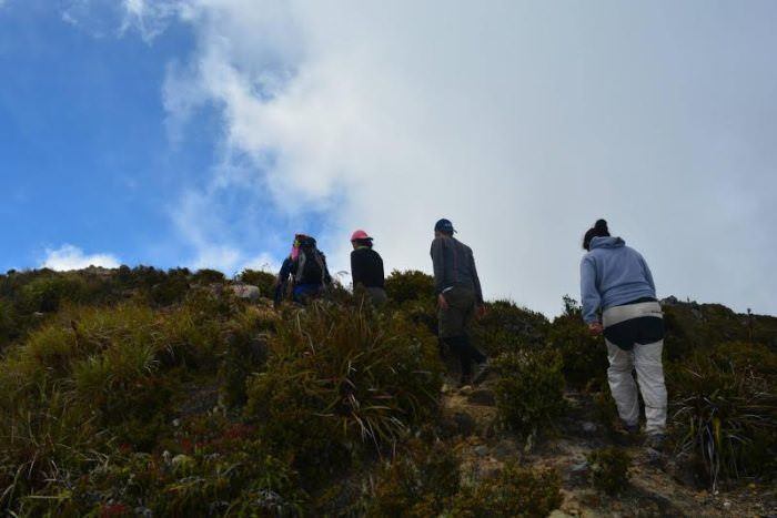 Mt. Apo Hike - Hiking Guide to the Kidapawan Trail