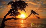 Travel Guide to Balet Island, Kalamansig, Sultan Kudarat