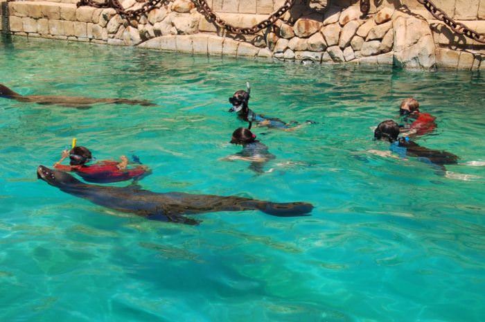 10 Reasons Why Benidorm, Spain is the Perfect Winter Holiday Destination