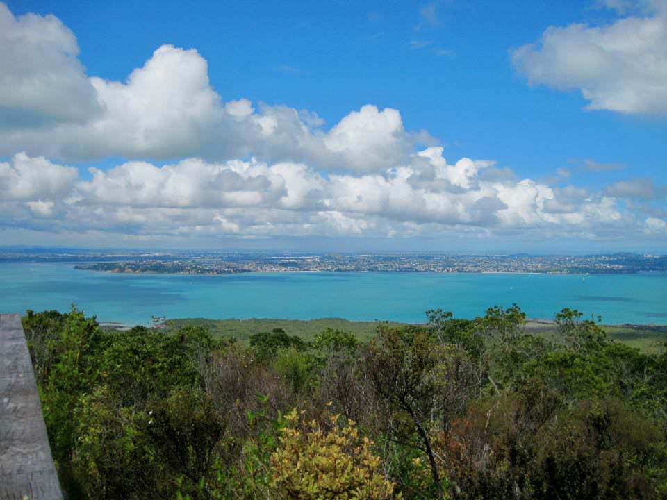 8 Unique Things to Do in Auckland, New Zealand