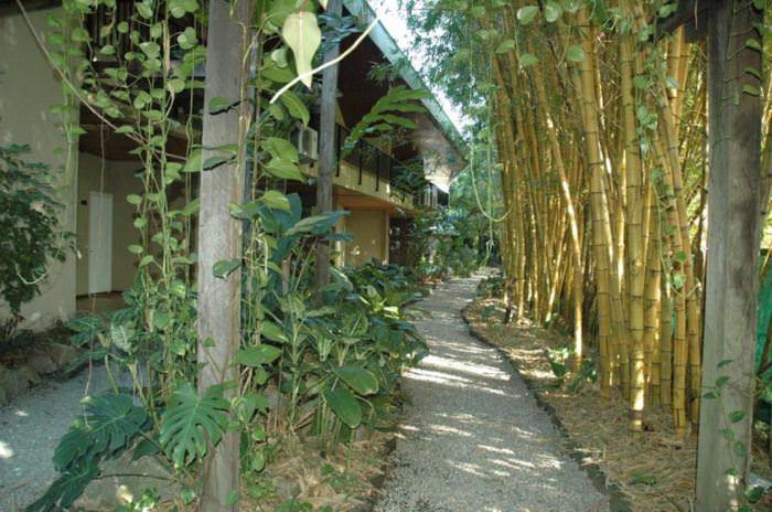Jacana Amazon Wellness Resort, Suriname, A Tropical Haven for ...