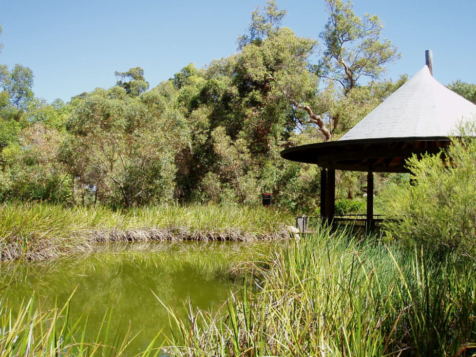 7 Places You Must Visit in Perth, Australia