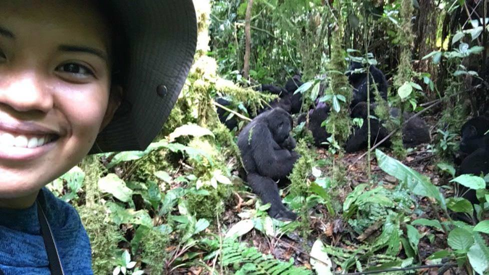The Ultimate Guide To Mountain Gorilla Tracking In Uganda