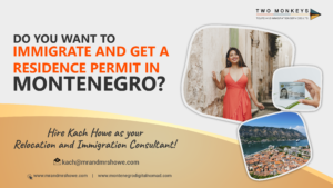 How To Get a Job in Montenegro as a Foreigner [Work in Montenegro]