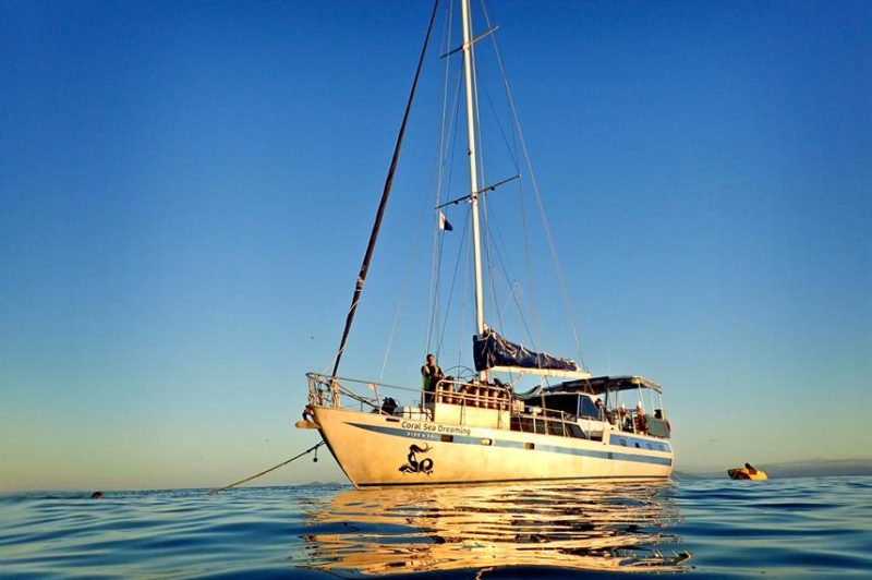Best Liveaboards Dive Trips at the Great Barrier Reef in Australia