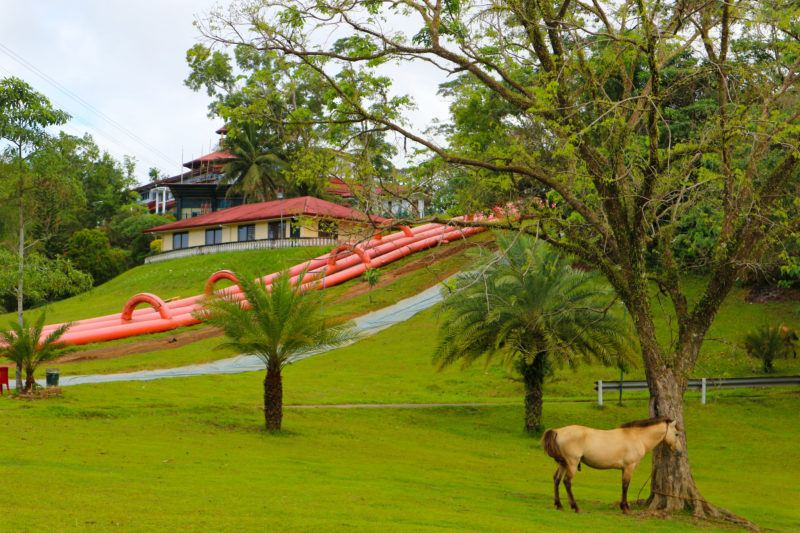 Caliraya Resort Club: Your Perfect Summer Getaway in Laguna