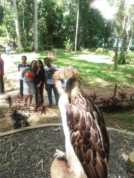 5 Cool Things To Do in Davao City and the Best Nature Parks to Visit